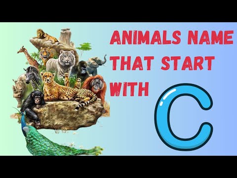 Animals Name that Start With "C" | List of Animals that Start With C | Things You Learn