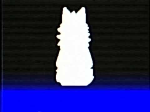 FURRY TEST