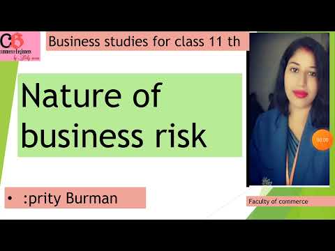 nature of business risk (business studies of class 11 th)