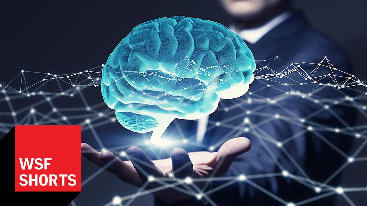 What is the Definition of Intelligence? | World Science Festival