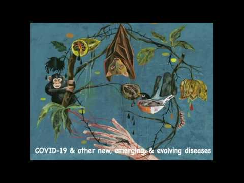 COVID-19 and Other Dangerous New Viral Diseases: Where do they come from? How can we fight them?