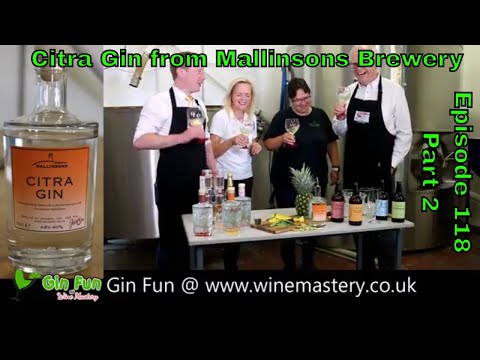 Mallinsons Citra Gin (Episode 118 Part 2) – Wine Mastery