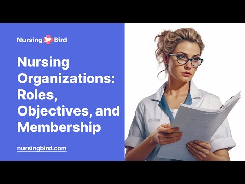Nursing Organizations: Roles, Objectives, and Membership - Essay Example