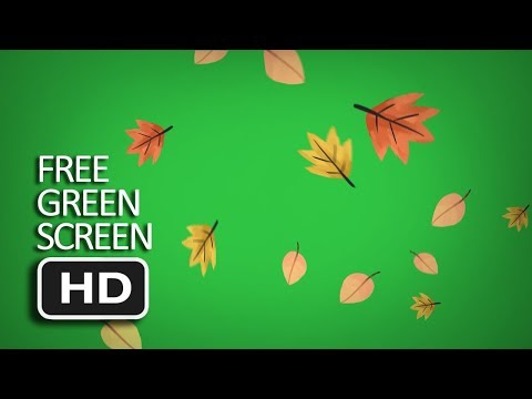 Free Green Screen - Falling Autumn Leaves Cartoon Style