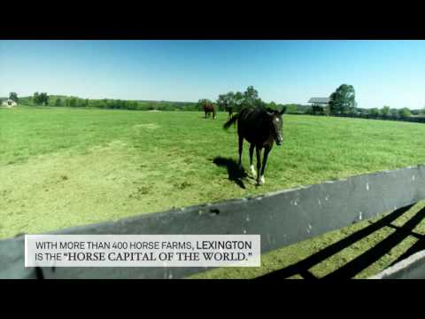 "Surrounded By More Than 400 Horse Farms" - Lexington, KY