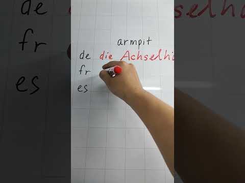 Phần nách armpit trong tiếng Đức, Pháp, Tây Ban Nha - learn German, French, Spanish vocabulary