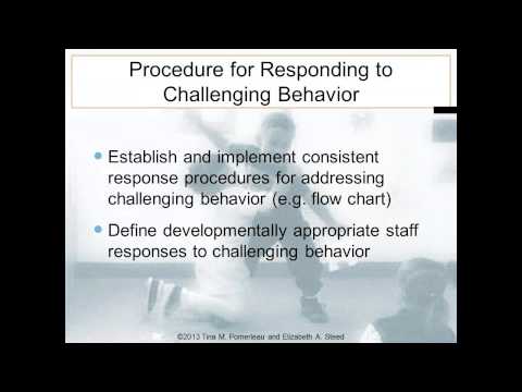Using the PreSET™ to Measure Positive Behavioral Interventions and Supports