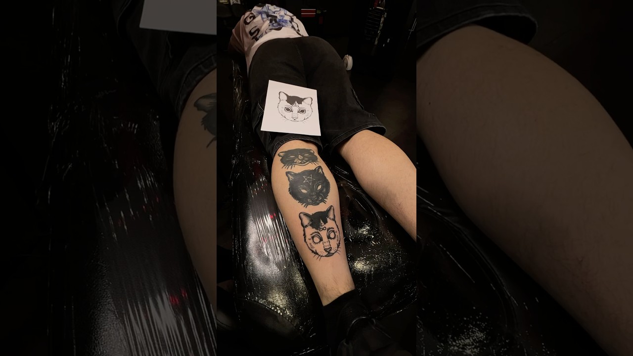 Who else has their pets tattooed on them? #pettattoo #cattattoo #blackwork #blackworktattoo