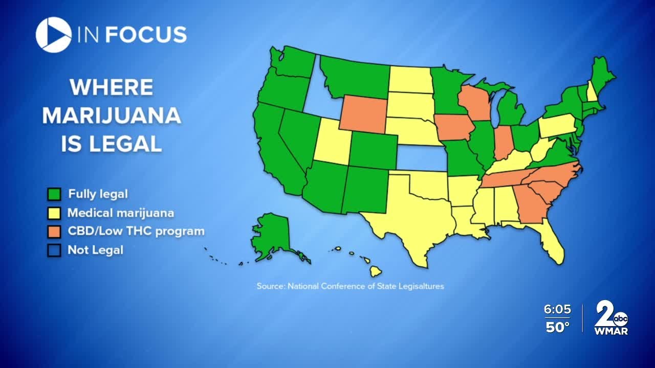 In Focus look at marijuana legality across the country
