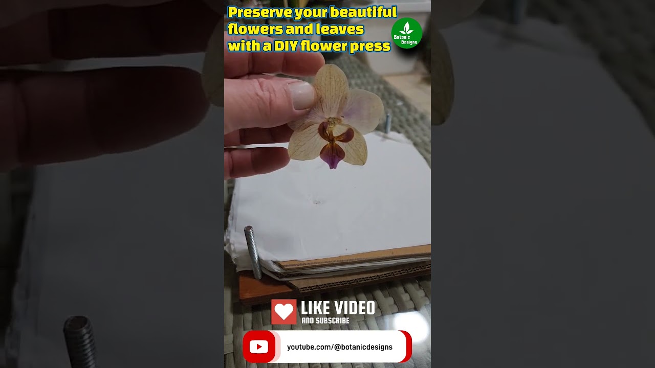 Preserve you beautiful flowers andd leaves with a DIY flower press
