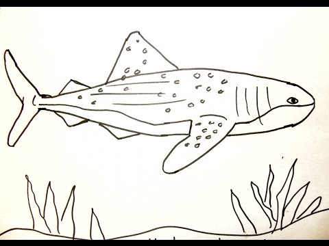 Kids Can Draw: Whale Shark (patron spots available)