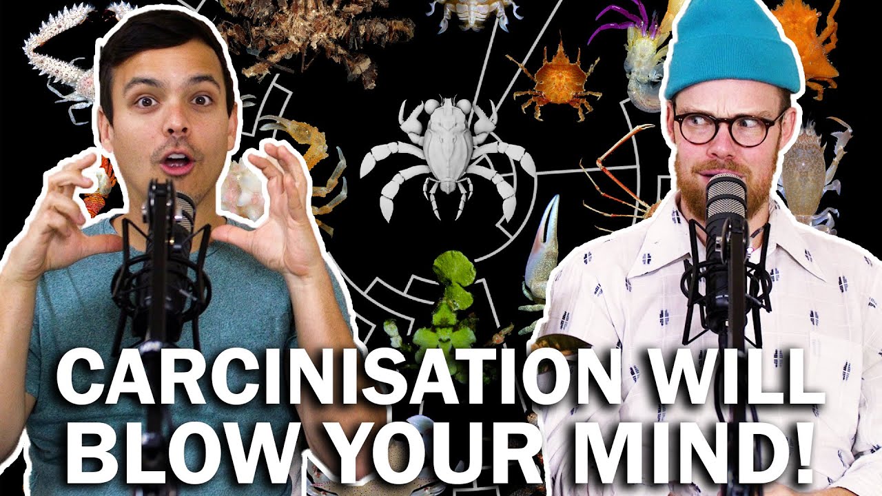 Carcinisation will blow your MIND!