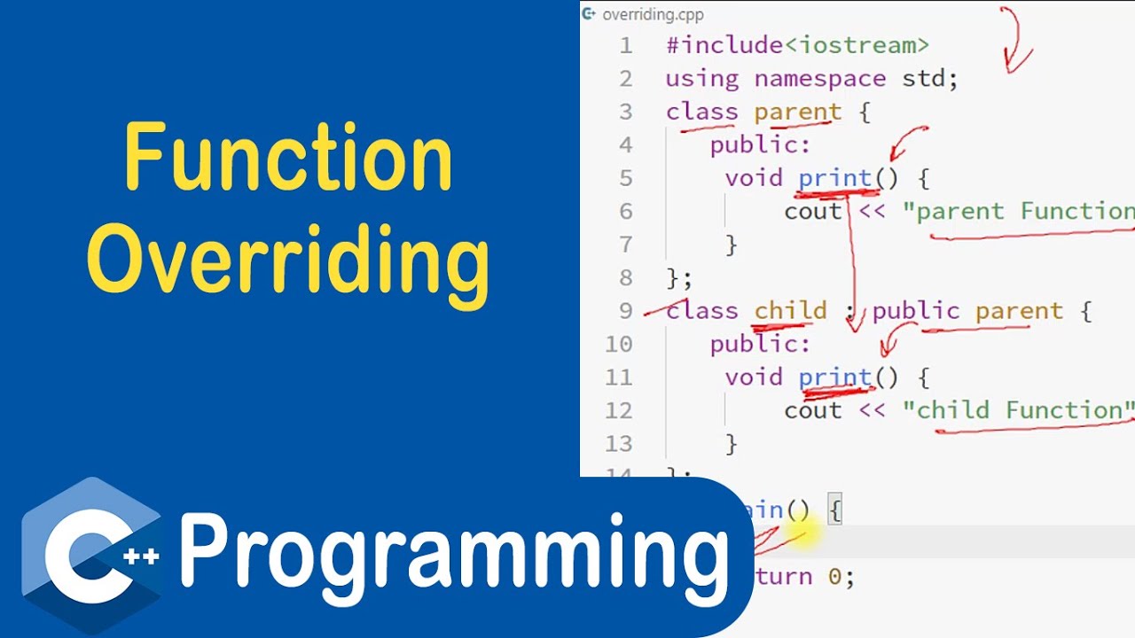 #101 Function Overriding in C++ | Runtime Polymorphism
