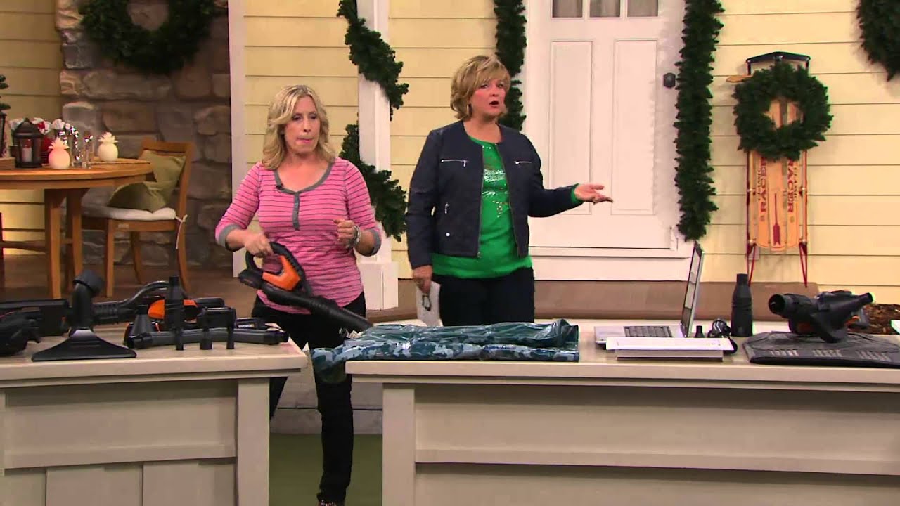 Worx Air 20V Cordless Blower/Sweeper w/ Wall Bracket & 8 Attachments with Carolyn Gracie