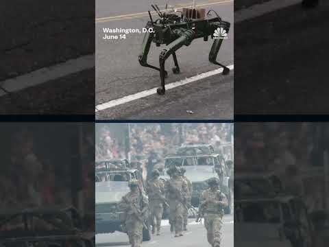 Trump marks Army's 250th anniversary with parade in Washington, D.C.