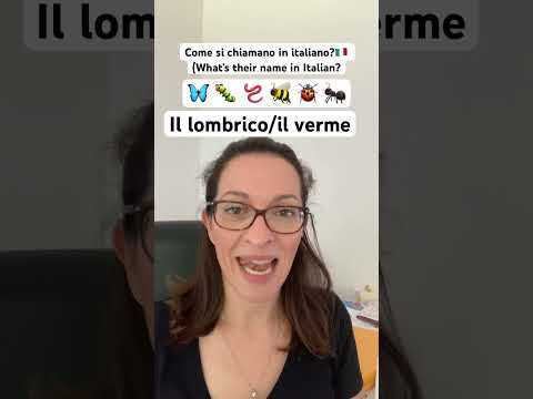 🇮🇹 Can you name them in Italian? - Learn Italian vocabulary 🇮🇹