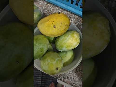 #mango#mangoes season is back ðŸ¥ðŸ¥ðŸ¥