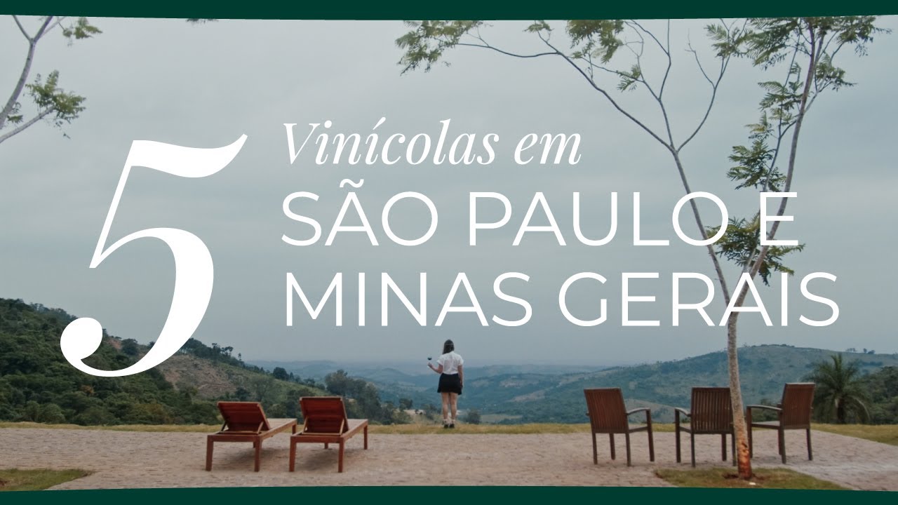 5 vinícolas perto de São Paulo | Desbrave o mundo do vinho de SP e MG