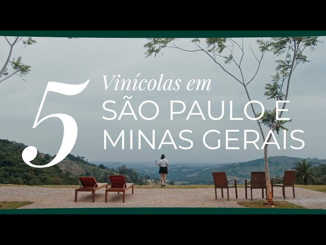 Desbrave o estado de São Paulo - Wine Locals