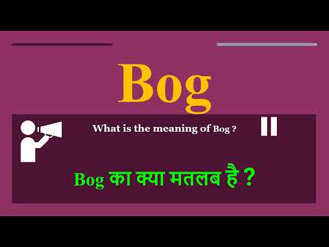 Bog meaning in Hindi | Bog ka kya matlab hota hai | daily use English words