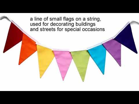 bunting meaning | Vocabulary for Kids | Children's Dictionary | Learn English Vocabulary