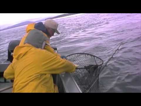 Fishing Alaska
