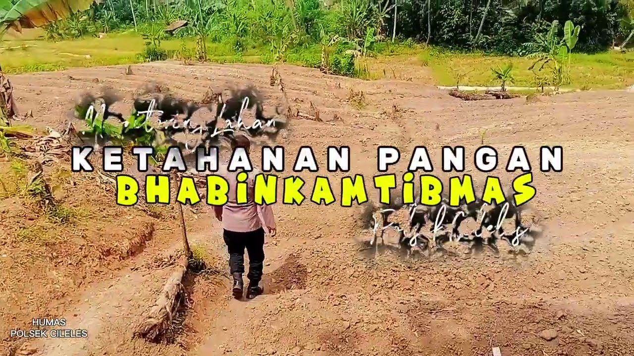 Bhabinkamtibmas Polsek Cileles Laksanakan Pengecekan Lahan Ketapang serta Berkoordinasi dengan PPL. 
