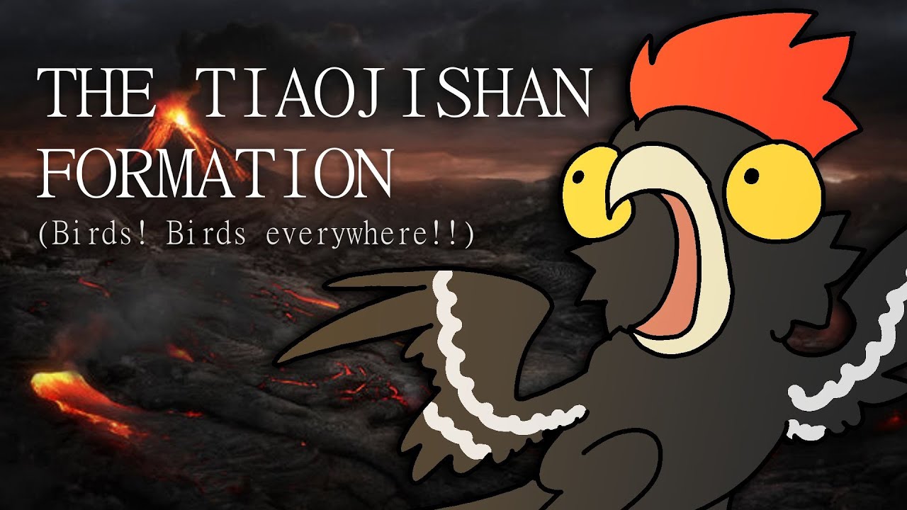 The Tiaojishan Formation: Fossil Birds like never seen! (Group Project)