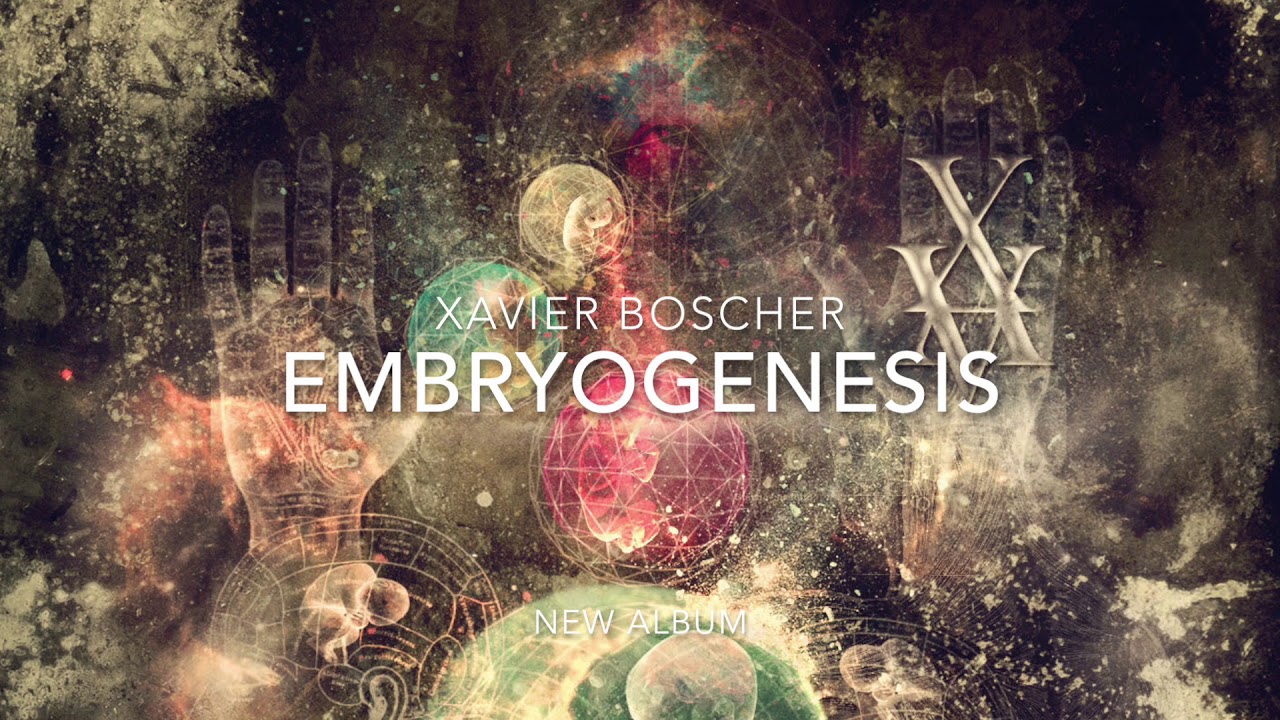 Xavier Boscher - Teaser Embryogenesis #3