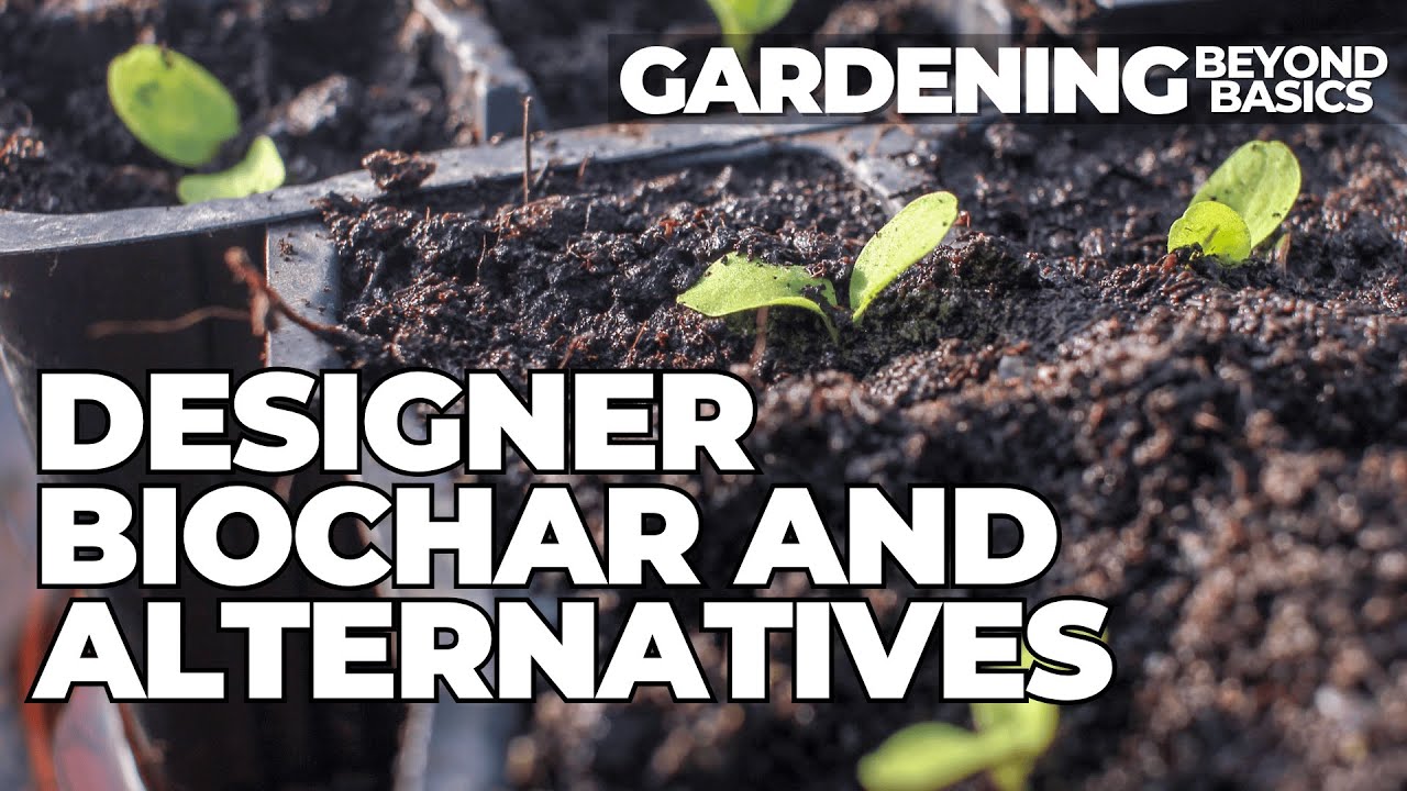 Practical Concerns on Biochar: Quality, Cost, Usage, and Alternatives