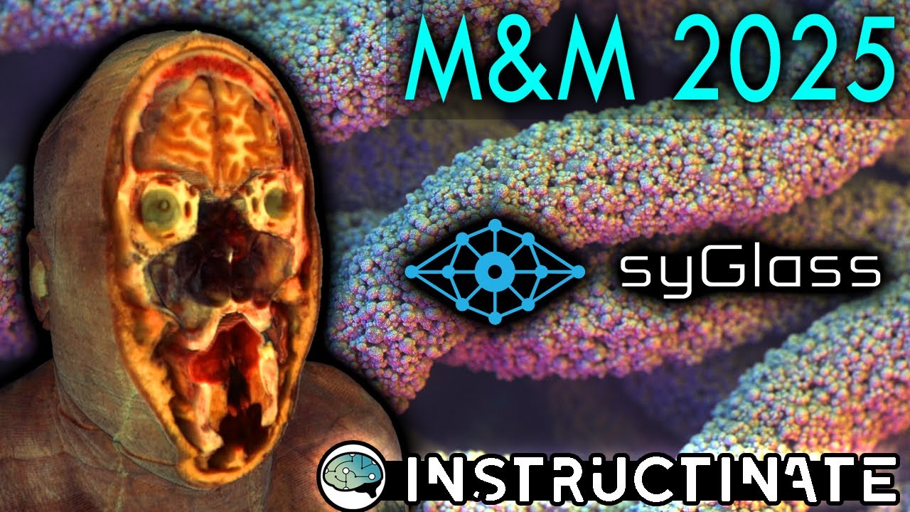 SyGlass VR Data Explorer @ M&M 2025 || Instructinate