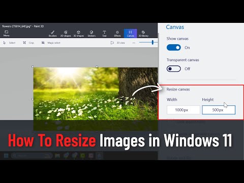 How To Resize Images in Windows 11 (Tutorial)
