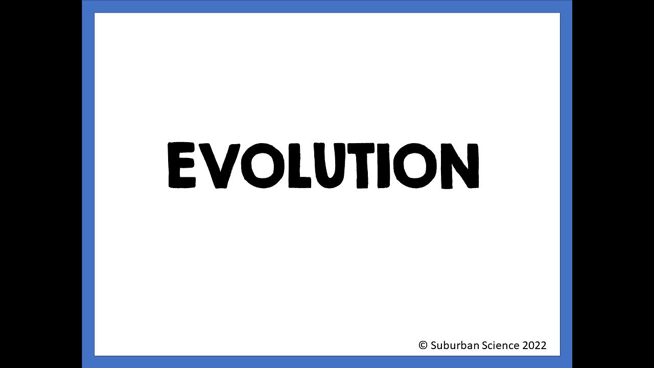 Unit 9- Evolution, Natural Selection, Population Genetics