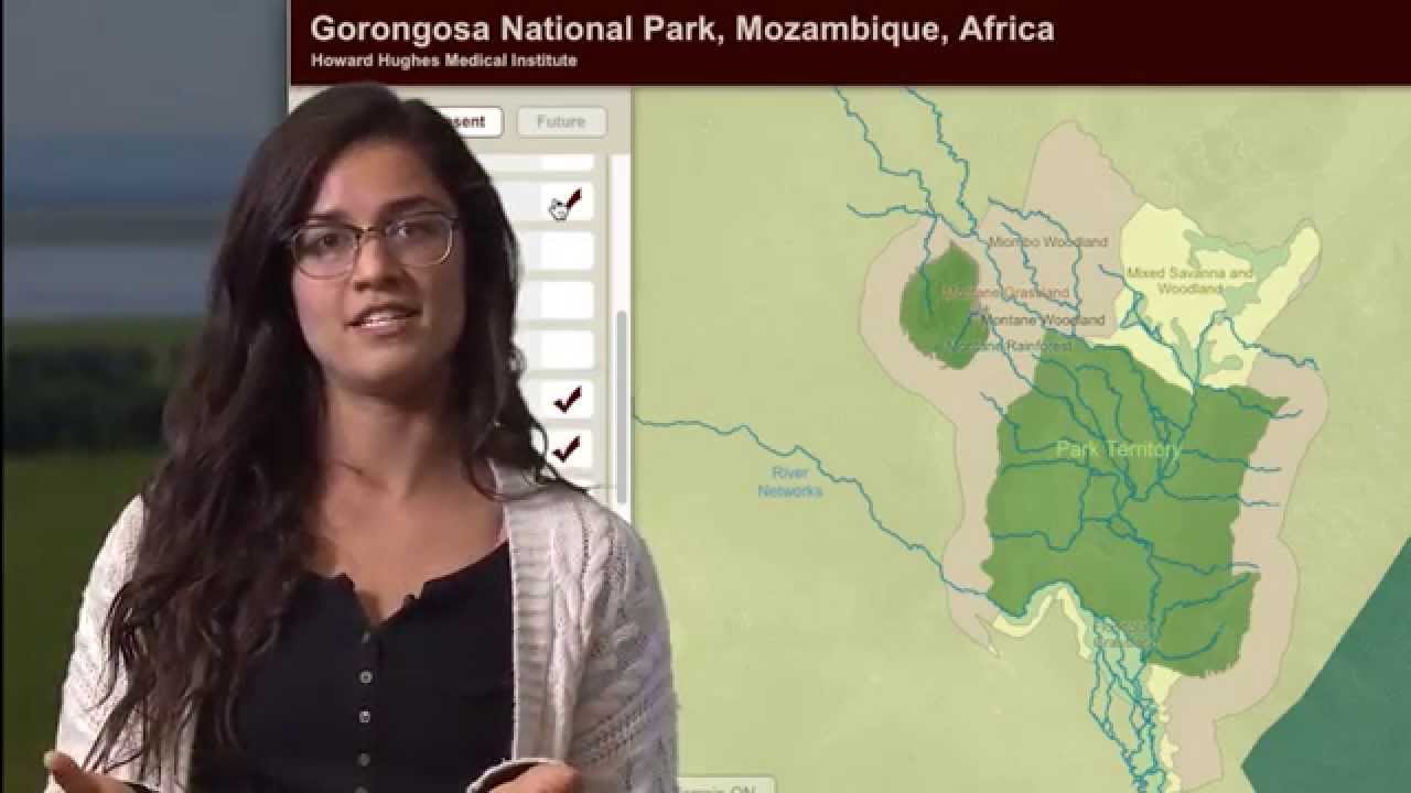 HHMI Educator Tips — Gorongosa Interactive Map