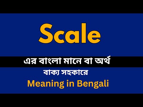 Scale Meaning in Bengali /Scale শব্দের বাংলা ভাষায় অর্থ অথবা মানে কি