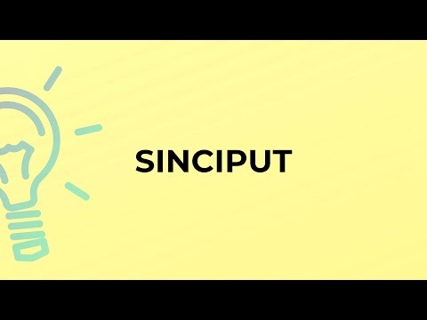 What is the meaning of the word SINCIPUT?