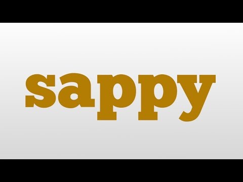 sappy meaning and pronunciation