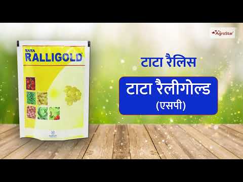 Vesicular Arbuscular Mycorrhiza at Best Price in India