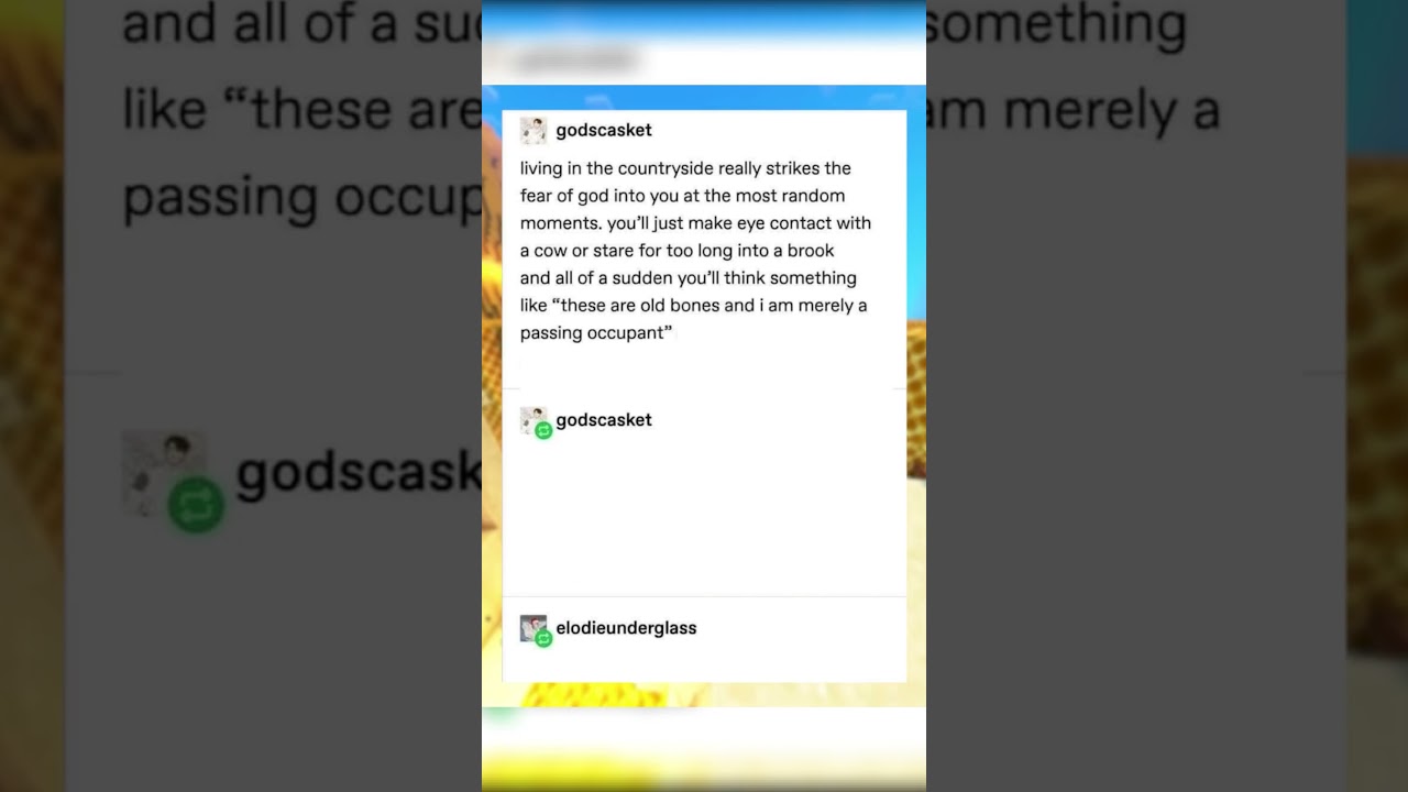 funny tumblr posts (v10)