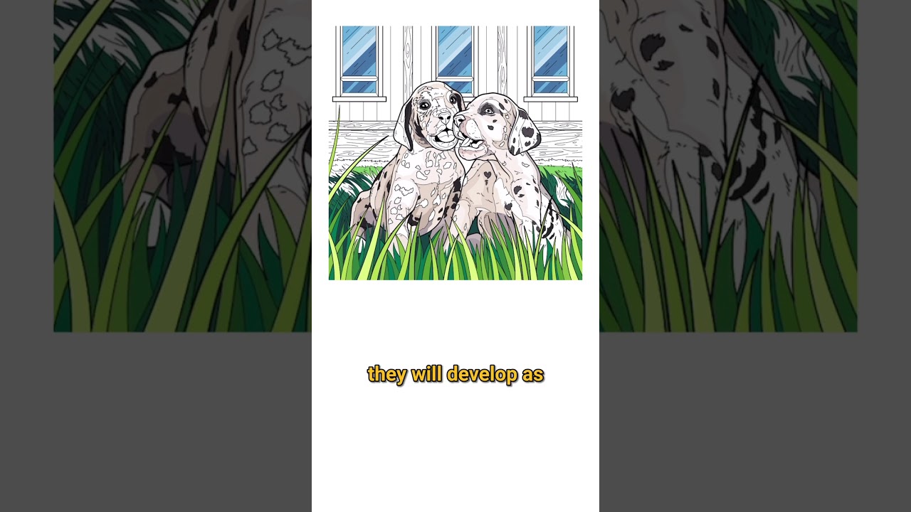 Dalmatians without spots??? 🐾 #funfacts #colouring #satisfy #satisfying #facts #factshorts