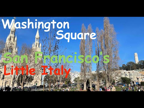 Virtual San Francisco - Washington Square in North Beach