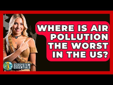 Where Is Air Pollution The Worst In The US? - Ecosystem Essentials