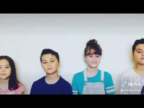 Fake Love- Jake Schwenke ft Kids Of Leo