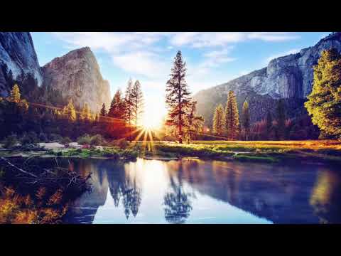 All 9 Solfeggio Frequencies, Birds Singing, Gentle River Nature Sounds, Fall Asleep, Inner Peace