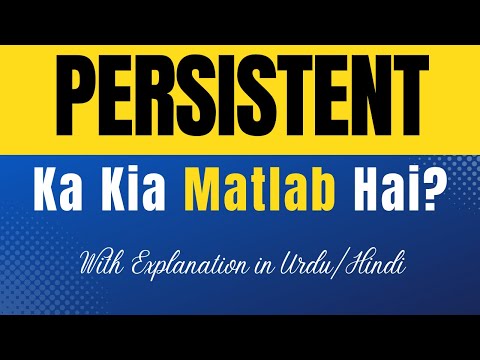 Persistent Meaning in Urdu With Explanation | Persistent Ka Kia Matlab Hota Hai | Urdu/Hindi