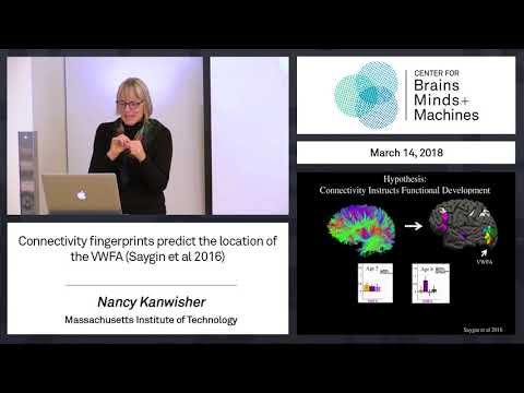 8.6 - Connectivity fingerprints predict the location of the VWFA (Saygin et al 2016)