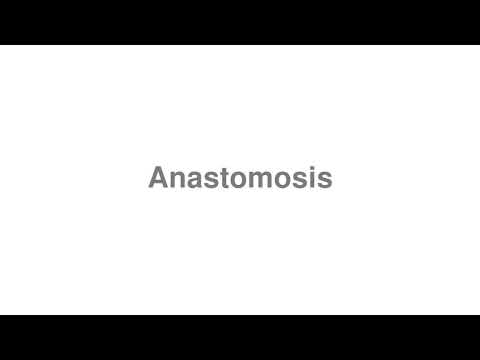 How to Pronounce "Anastomosis"