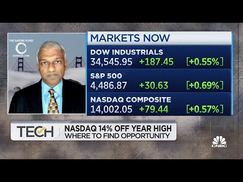 The Fed is your enemy, not your friend, says Satori Fund's Dan Niles