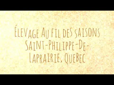 Élevage au fil des saisons Saint-Philippe-de-Laprairie Quebec