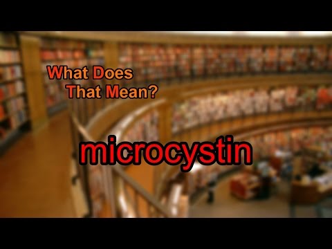 What does microcystin mean?